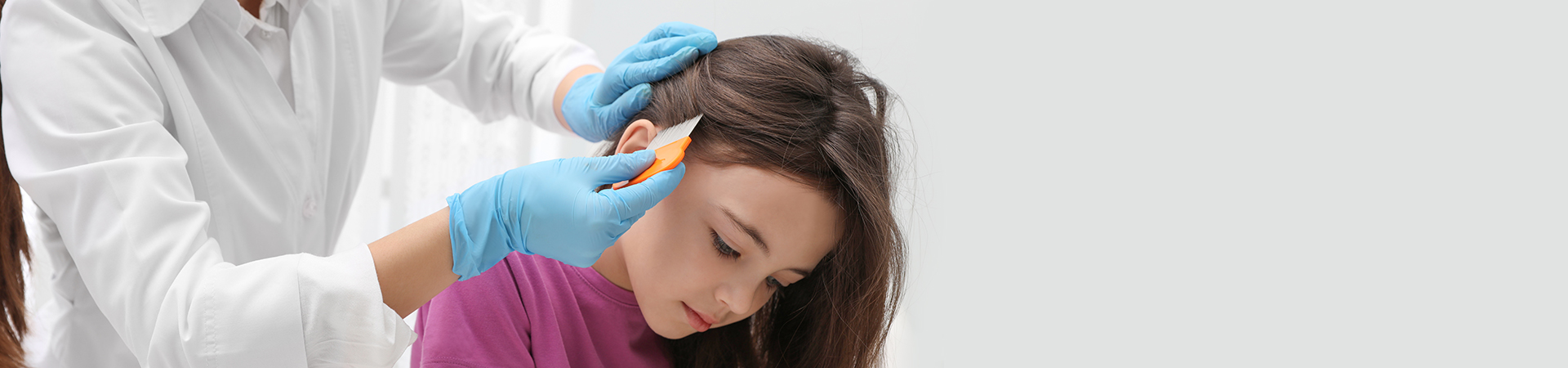 Head Lice Symptoms And Treatment Legacy Er And Urgent Care